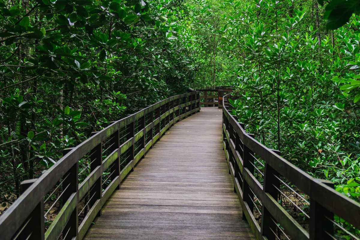 8 different ways to enjoy your time at Pasir Ris Park - PickMe